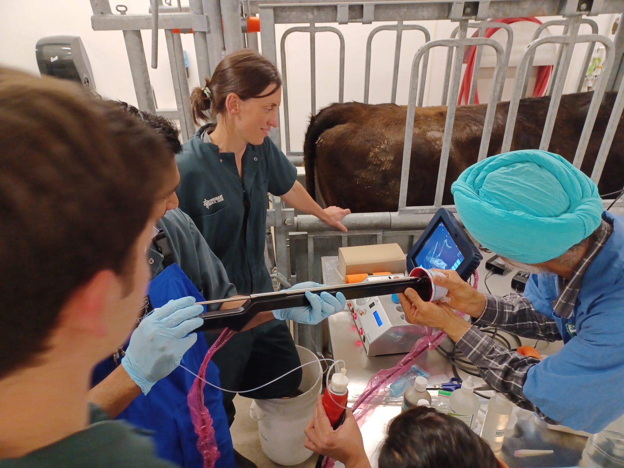 ExaPad Mini - Portable Veterinary Ultrasound - SecRepro